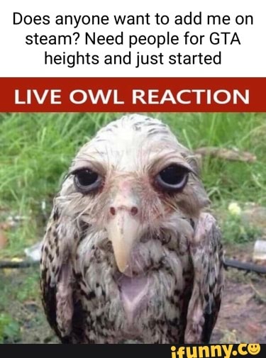 Ufa memes. Best Collection of funny Ufa pictures on iFunny