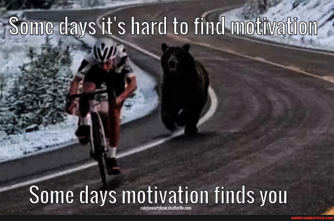 Some days it's hard to find motivation some days motivation finds you ...