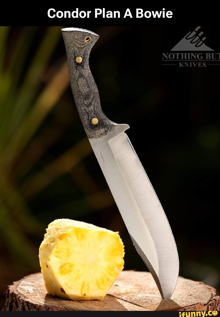 Condor memes. Best Collection of funny Condor pictures on iFunny