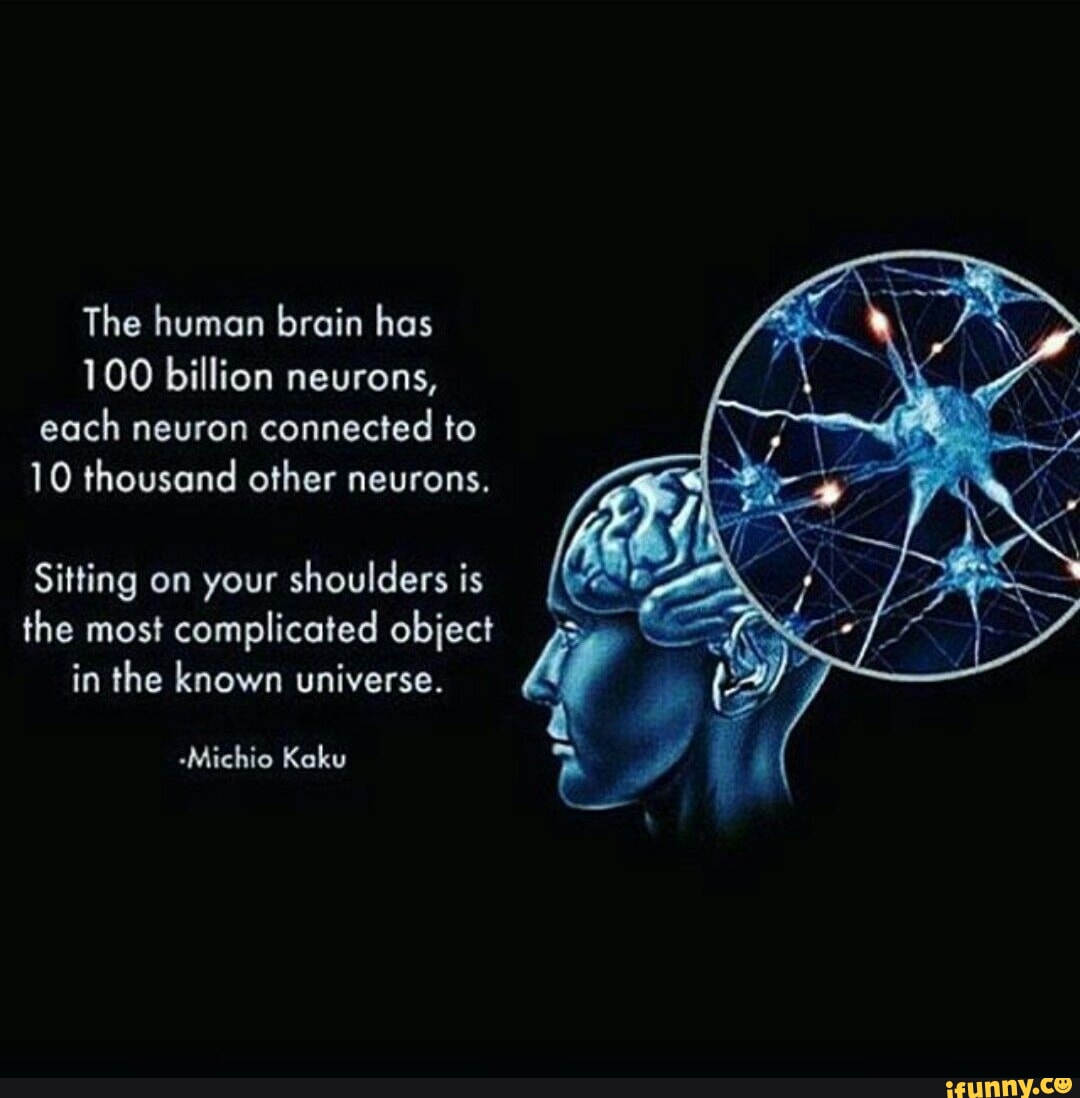 The human brain has 100 billion neurons, each neuron connected to 10 ...
