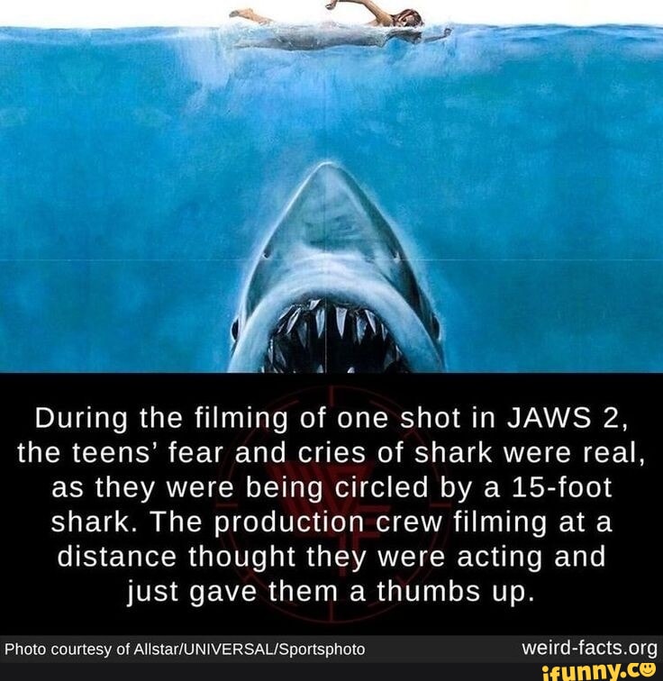 During the filming of one shot in JAWS 2, the teens' fear and cries of ...