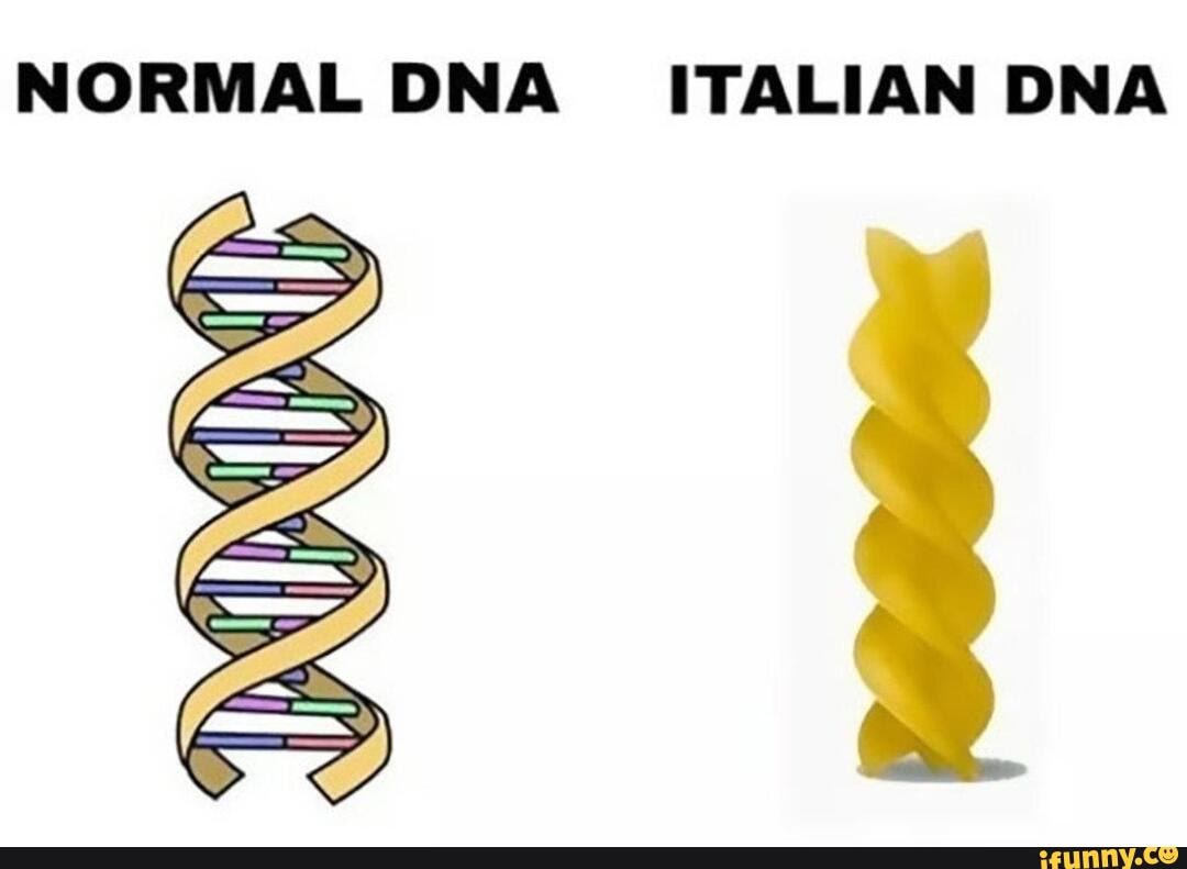 Dna rna memes - NORMAL DNA ITALIAN DNA - iFunny