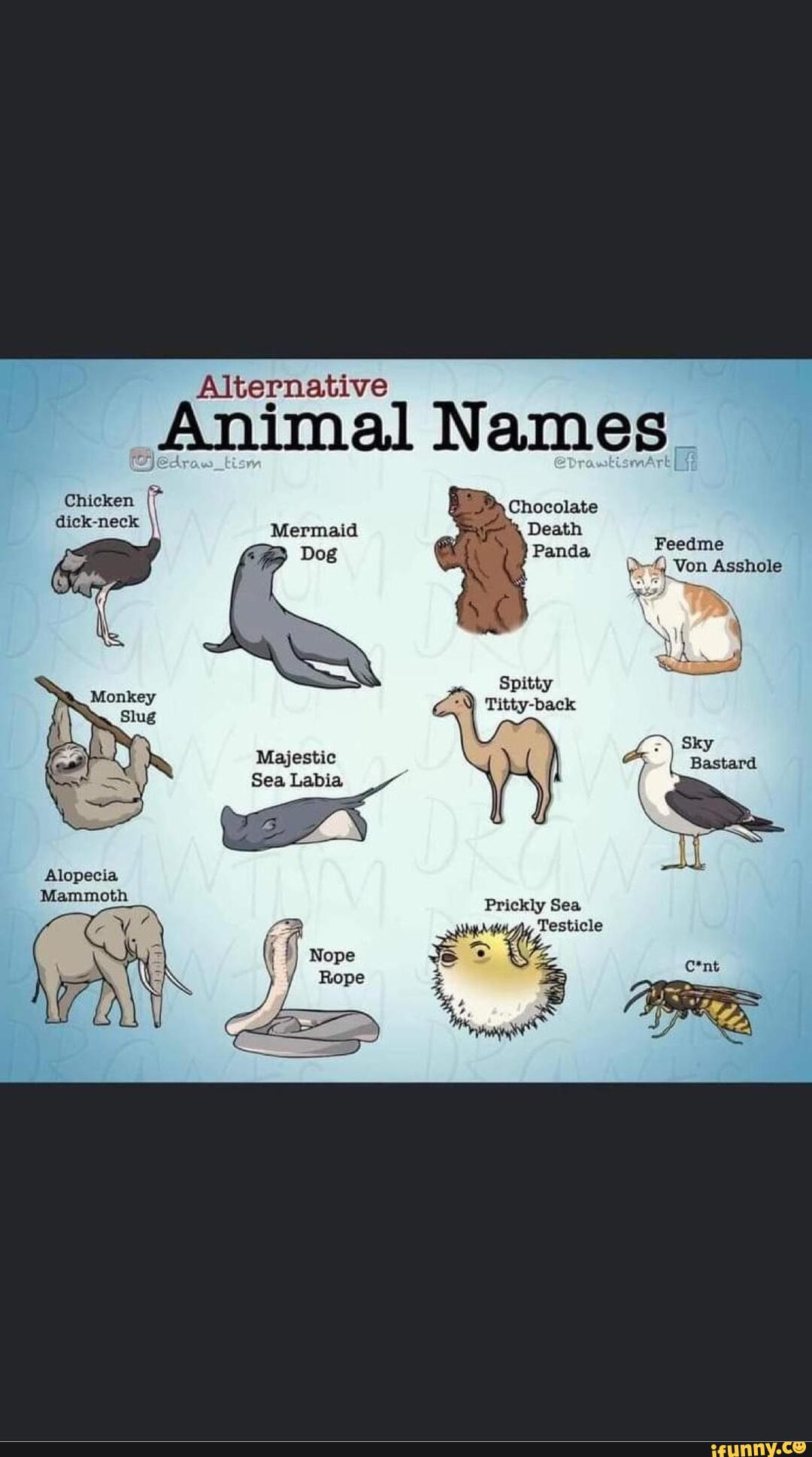 A chuckle - Alternative Animal Names Chicken Chocolate dick-neck dick ...
