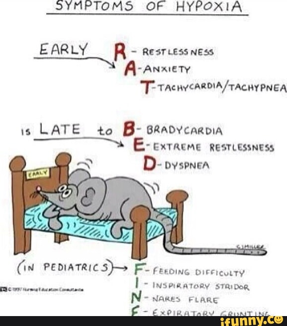 Stridor memes. Best Collection of funny Stridor pictures on iFunny