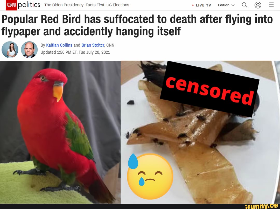 Flypaper memes. Best Collection of funny Flypaper pictures on iFunny