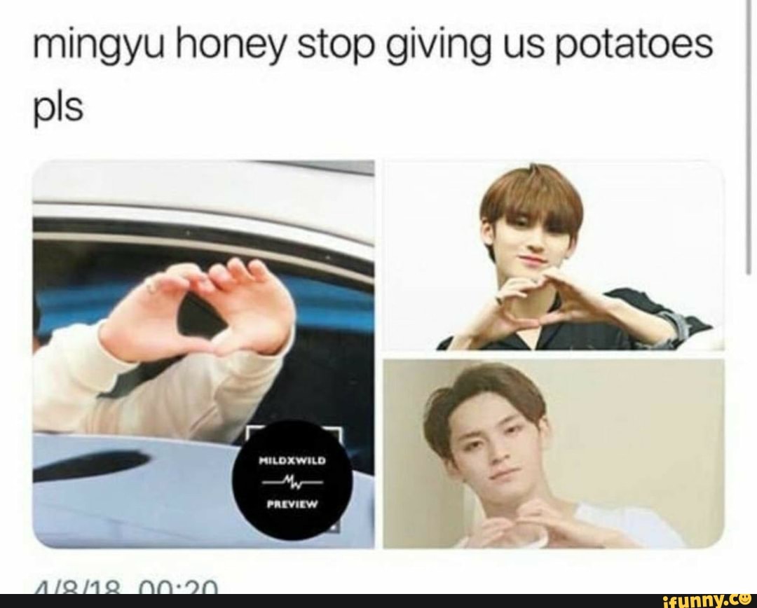 Mingyu honey stop giving us potatoes pls - iFunny