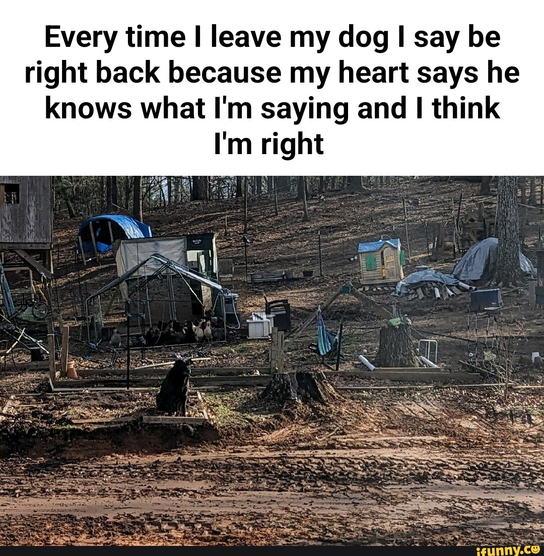 Every time I leave my dog I say be right back because my heart says he ...