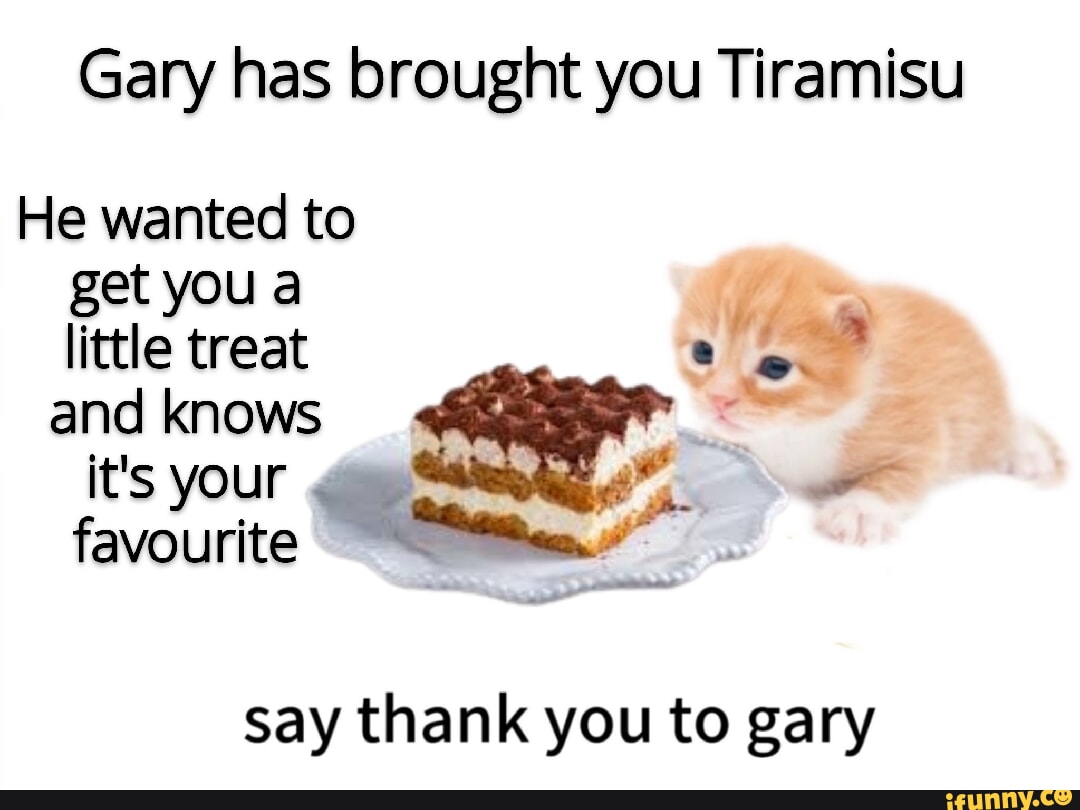 Gary has brought you Tiramisu He wanted to get you a little treat and ...