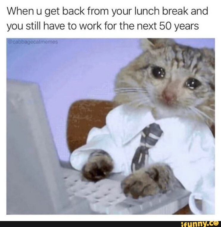When u get back from your lunch break and you still have to work for ...