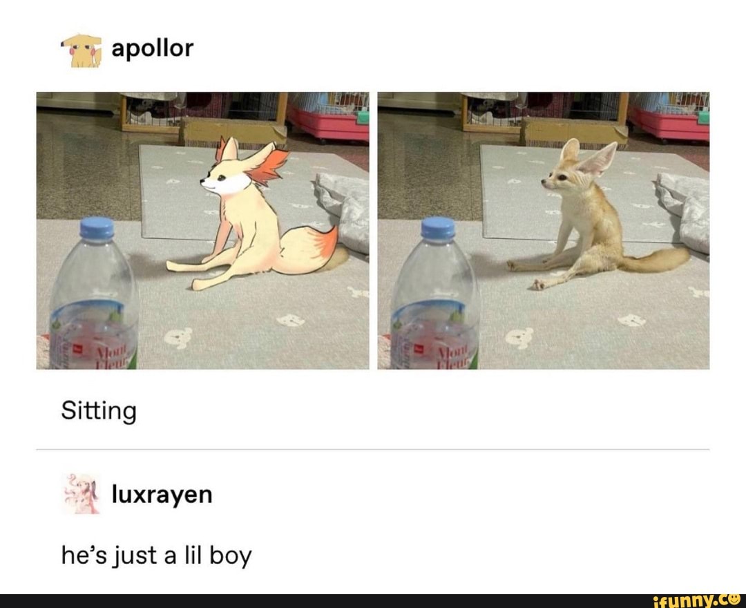 Apollor memes. Best Collection of funny Apollor pictures on iFunny