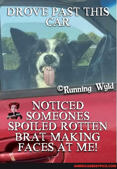 LOLOLO YOU know who you are! Running Wyld ~KM~ - DROVE PAST THIS CAR ...