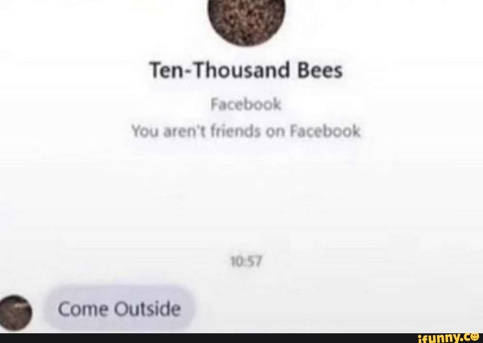 Ten- Thousand Bees Facebook You aren't friends on Facebook Come Outside ...