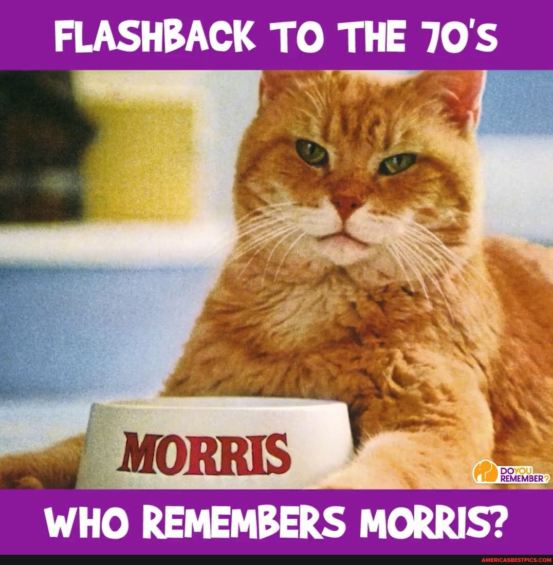 FLASHBACK TO THE SS WHO REMEMBERS MORRIS? - America’s best pics and videos