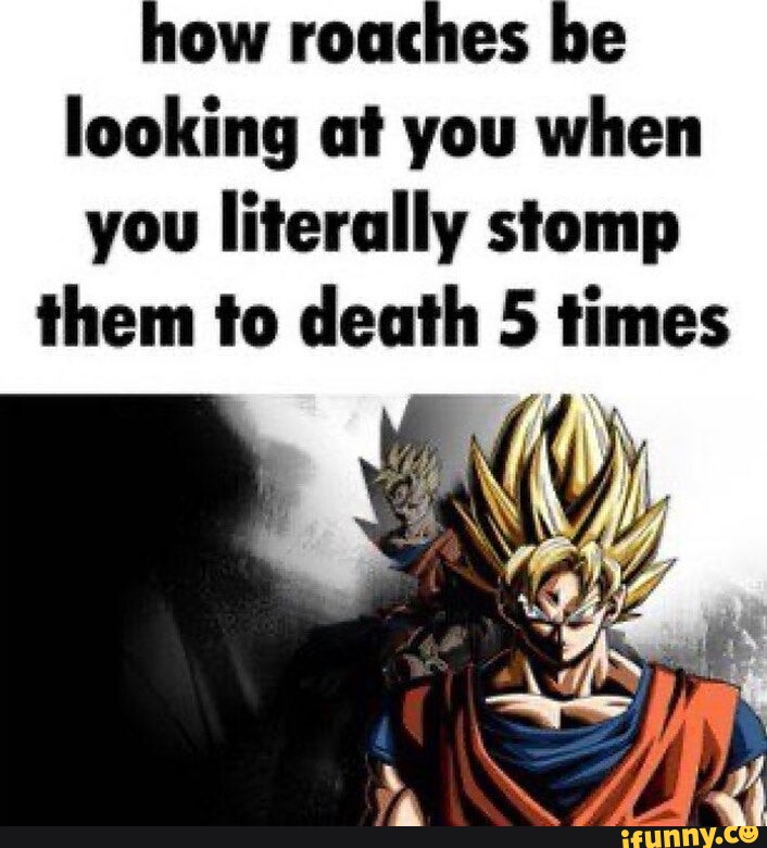 Roaches memes. Best Collection of funny Roaches pictures on iFunny