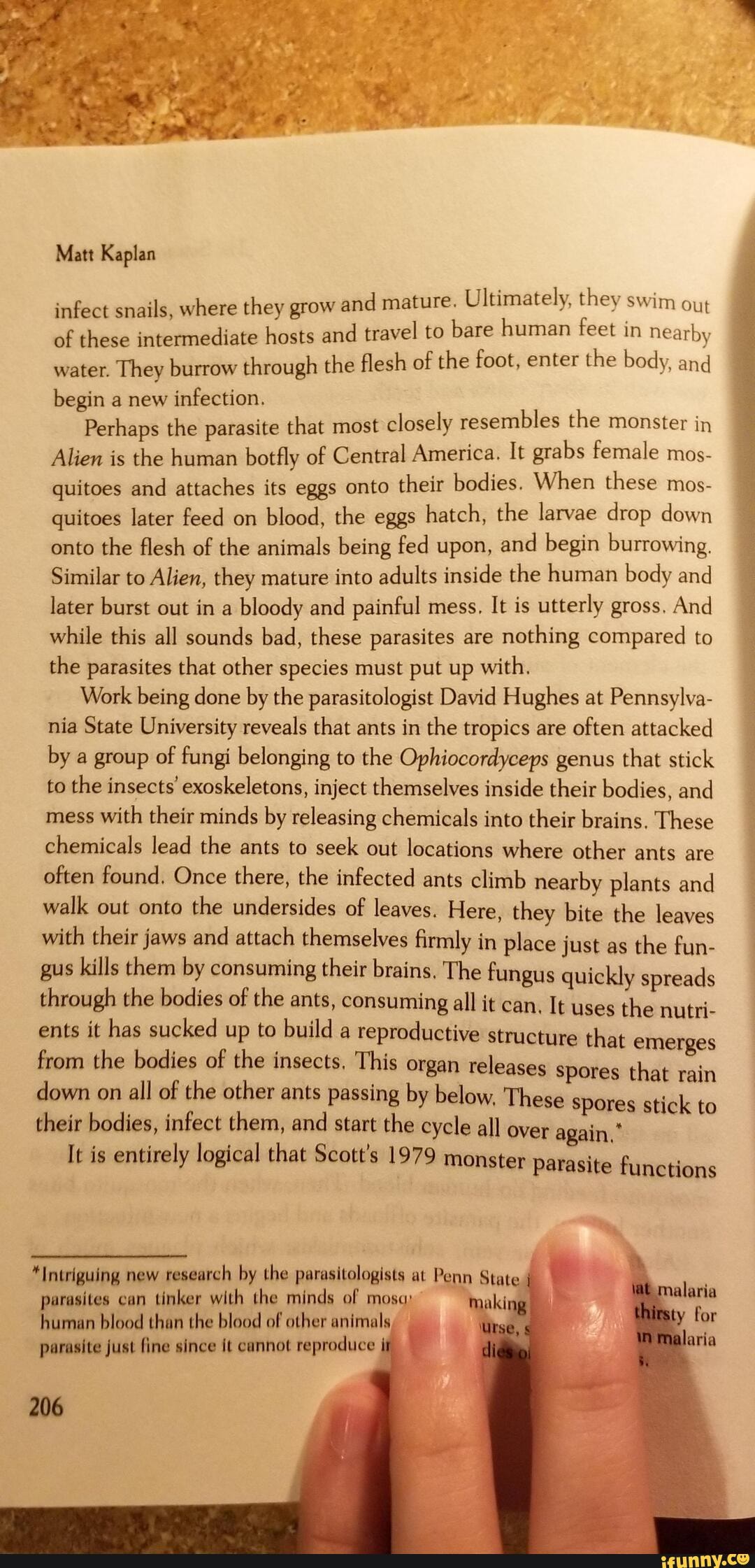 Kaplan memes. Best Collection of funny Kaplan pictures on iFunny