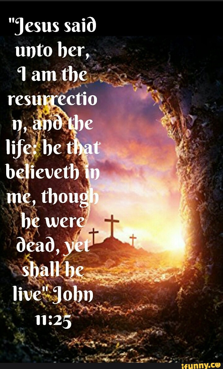 Jobu memes. Best Collection of funny Jobu pictures on iFunny