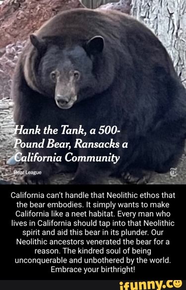 Lank the Tank, a 500- Pound Bear, Ransacks a California Community ...