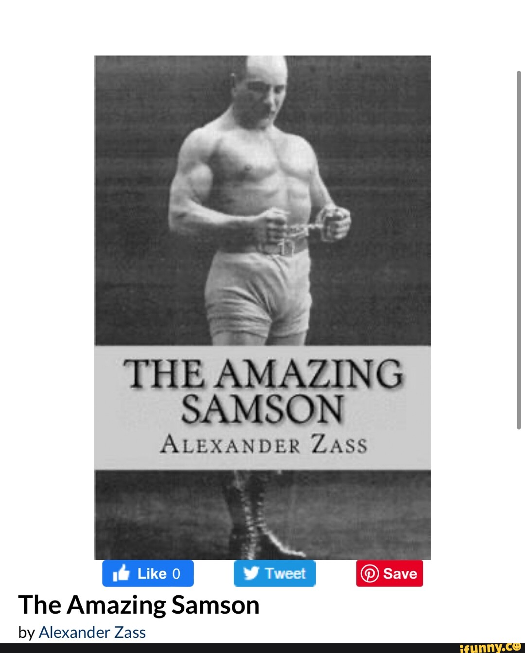 The Mystery Of The Iron Samson: The Life And Training Of Strongman Alexander Zass | atelier-yuwa ...
