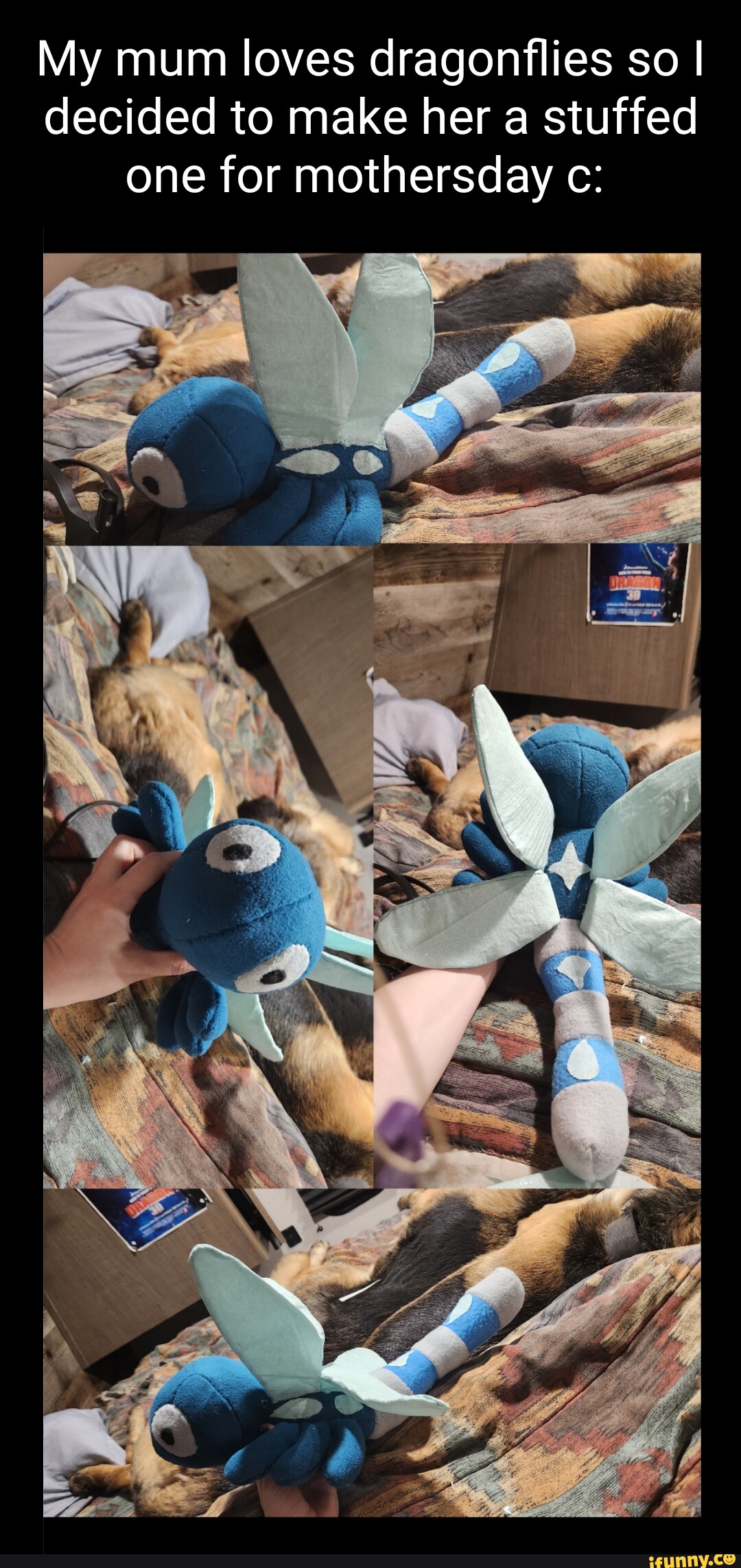 Dragonflies memes. Best Collection of funny Dragonflies pictures on iFunny