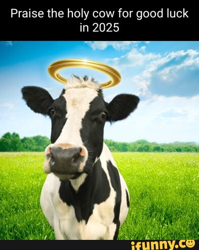 Praise the holy cow for good luck in 2025 - iFunny