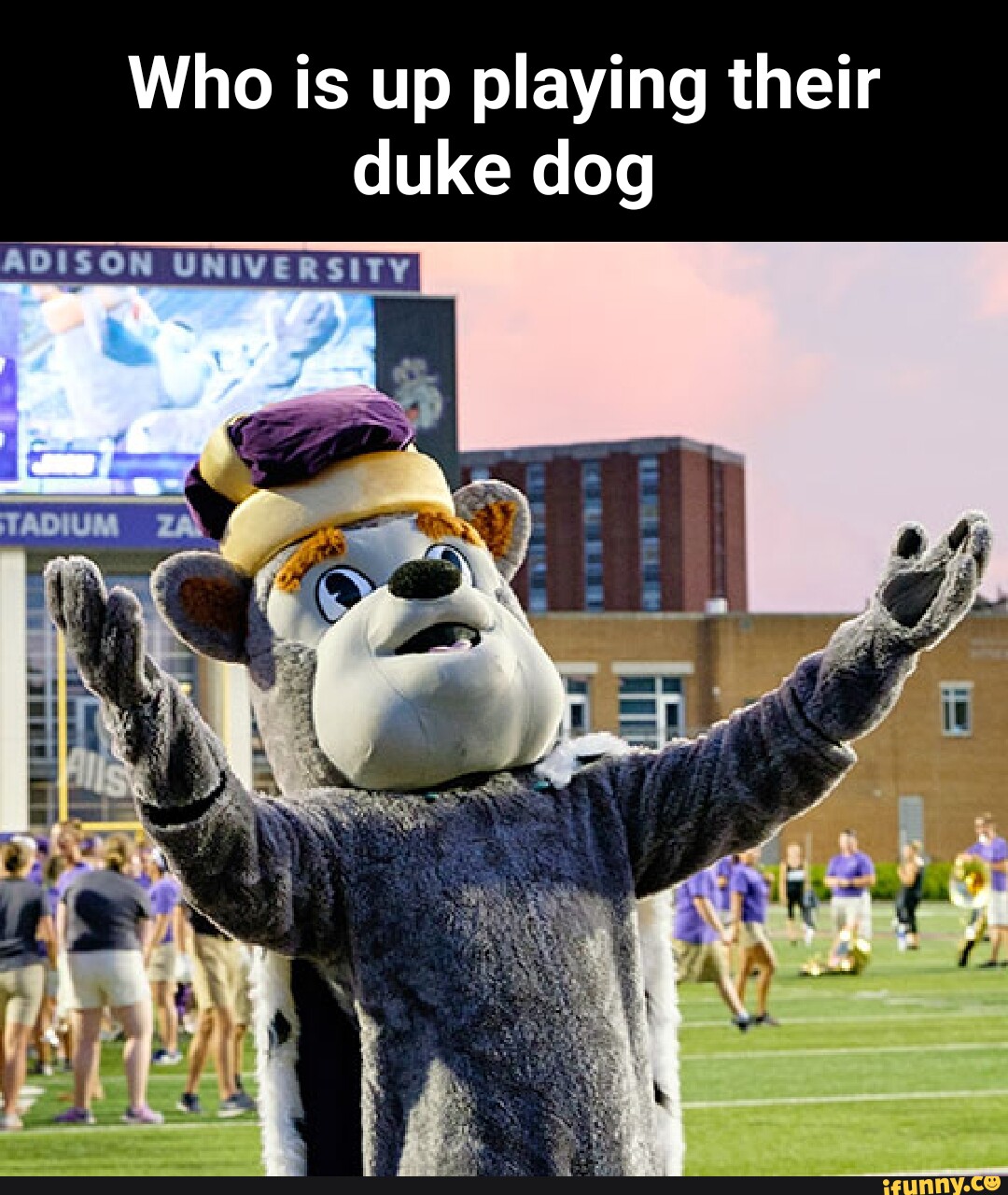 James Madison University Memes