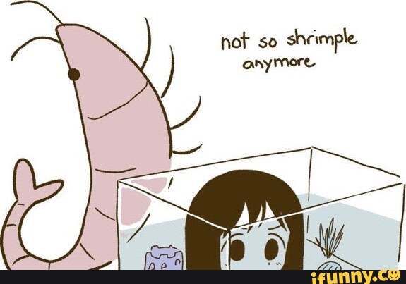 Not so sheimple anymore. - iFunny