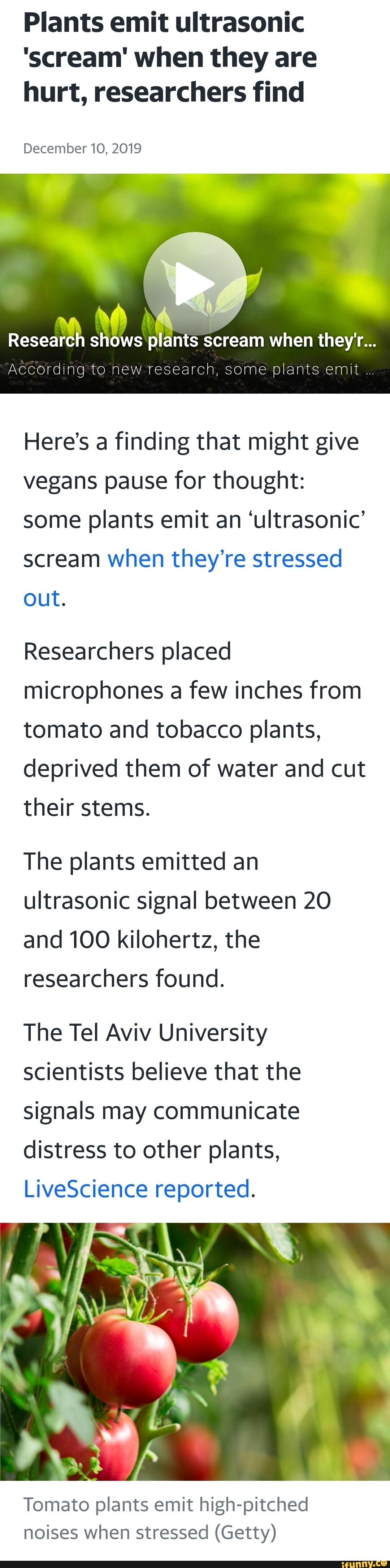 Plants emit ultrasonic 'scream' when they are hurt, researchers find ...