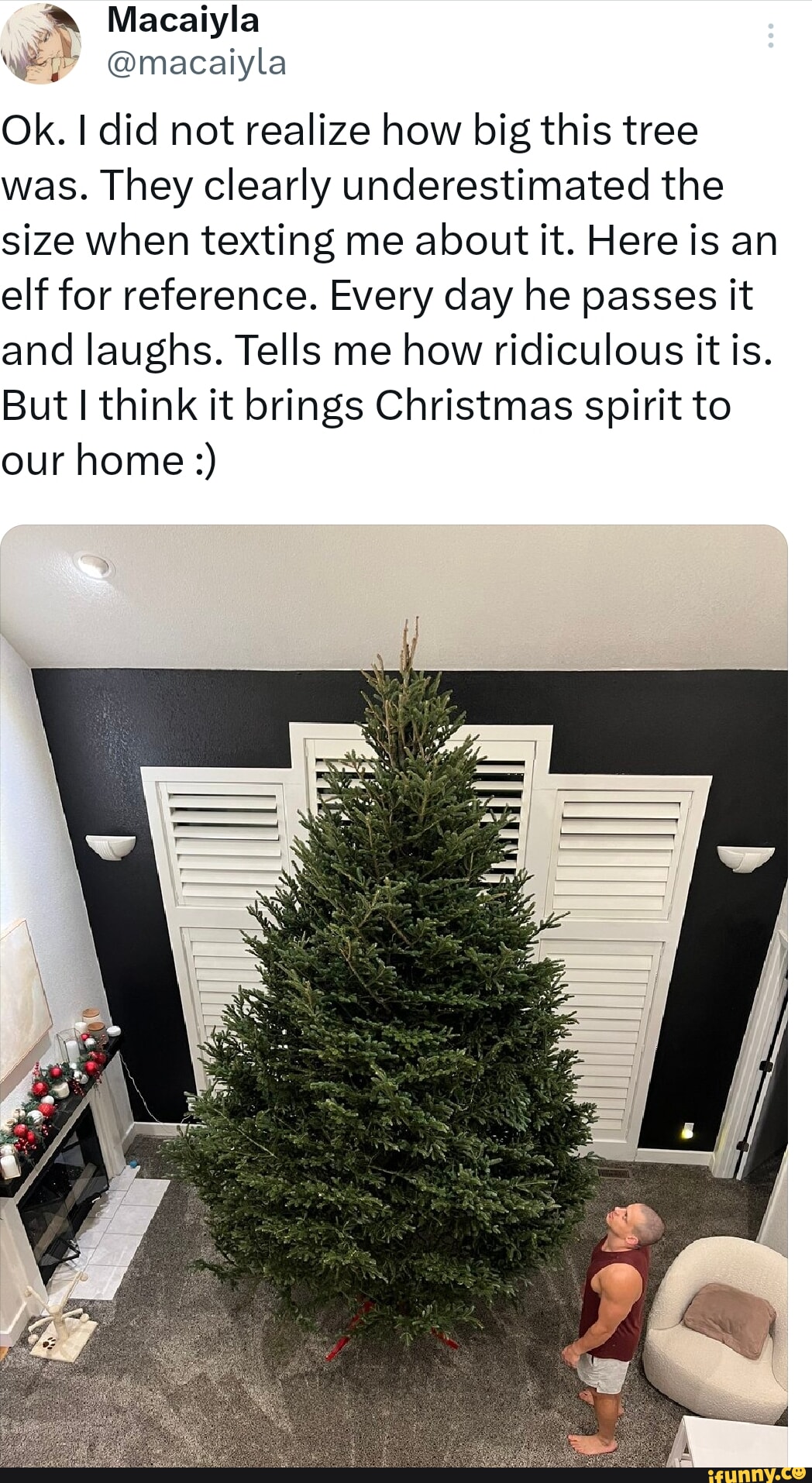 Alexander the great il ! : Alexander the ok &. % Alexander the meh ...