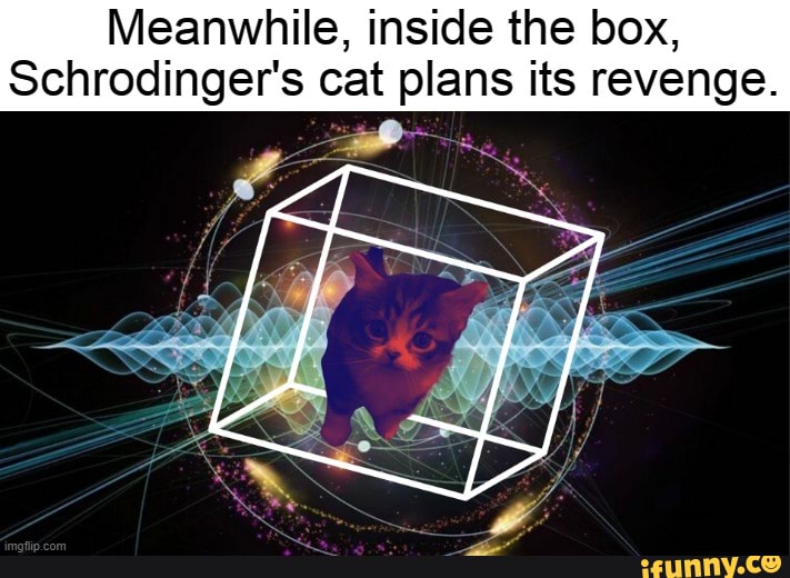 Meanwhile, inside the box, Schrodinger's cat plans its revenge. - iFunny