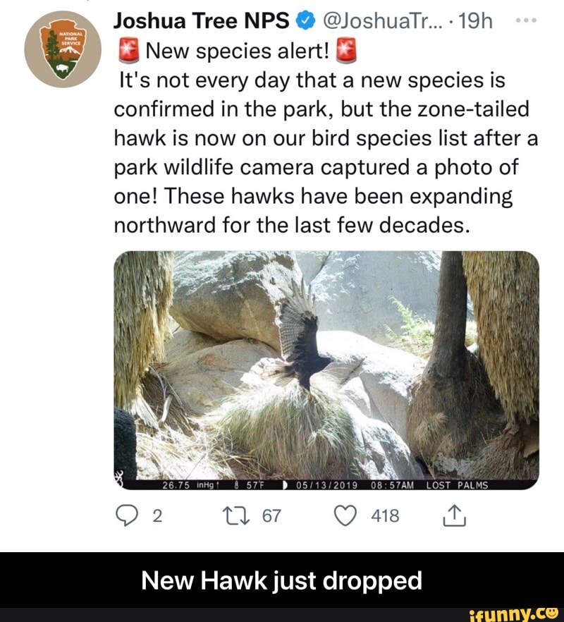 Nps memes. Best Collection of funny Nps pictures on iFunny