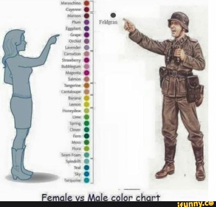 1 a Female vs Male color chart - iFunny
