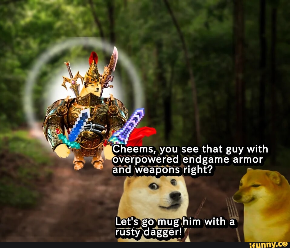 By Cheems, you see that guy with overpowered endgame armor and weapons ...
