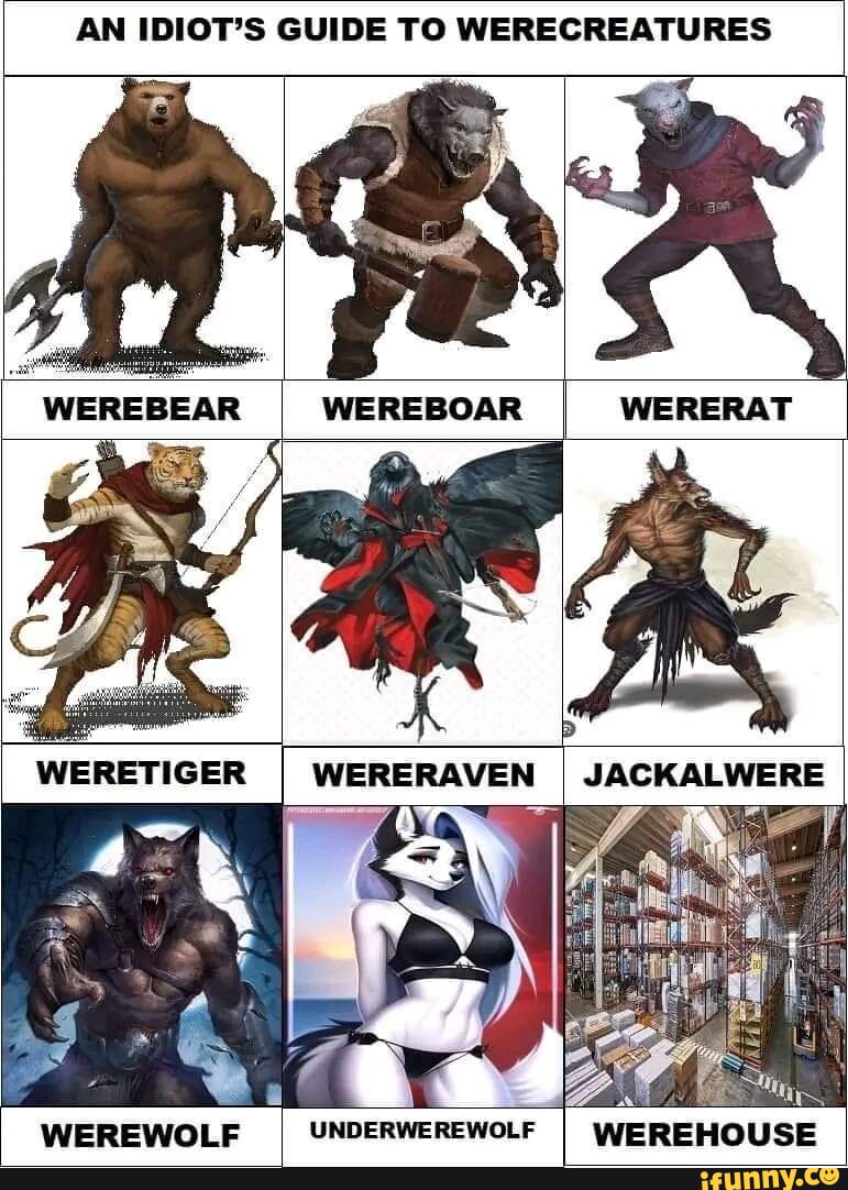 AN IDIOT'S GUIDE TO WERECREATURES BEAR WEREBOAR WERERAT WERE! I ...