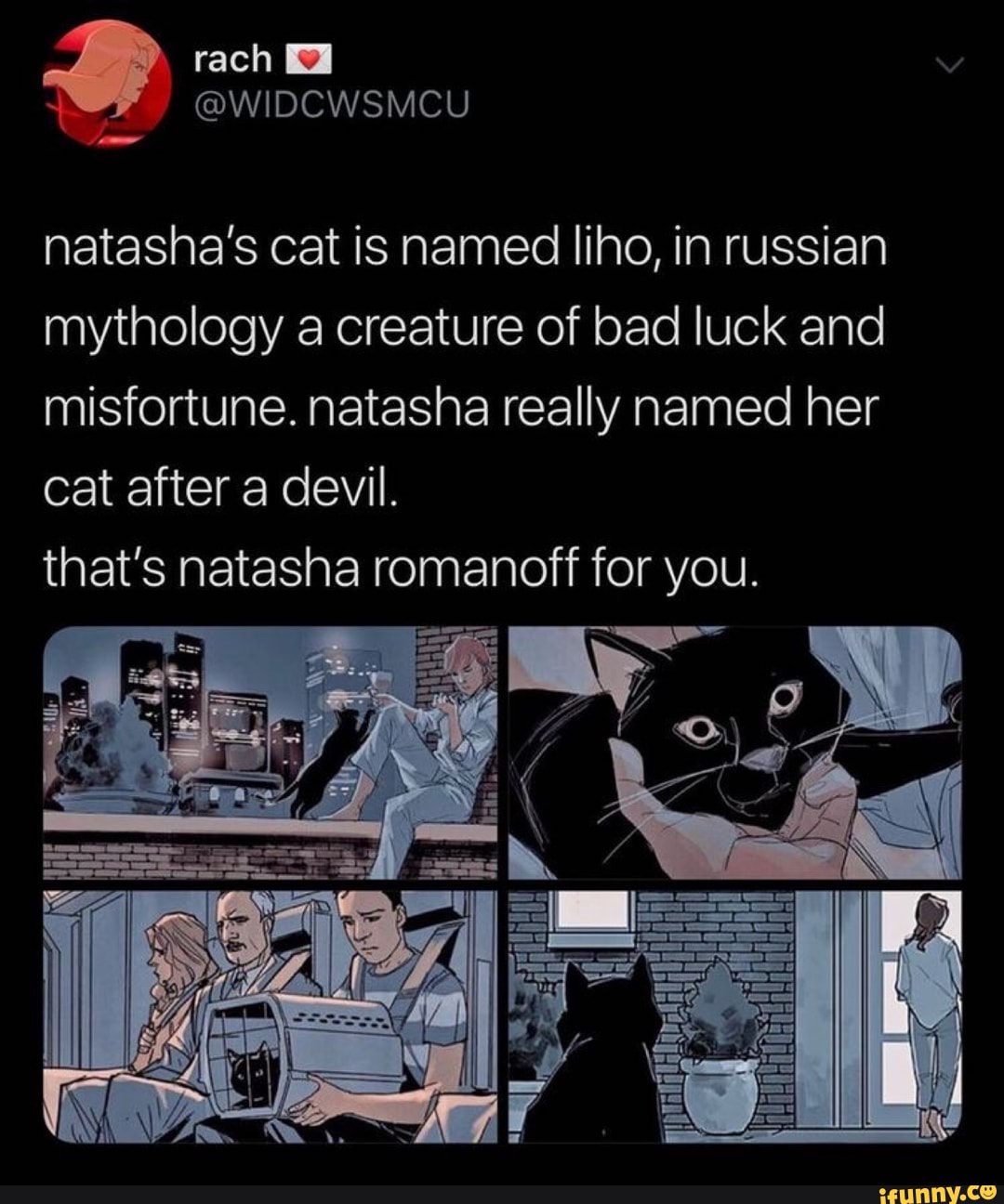 Natasha's cat is named liho, in russian mythology a creature of bad ...
