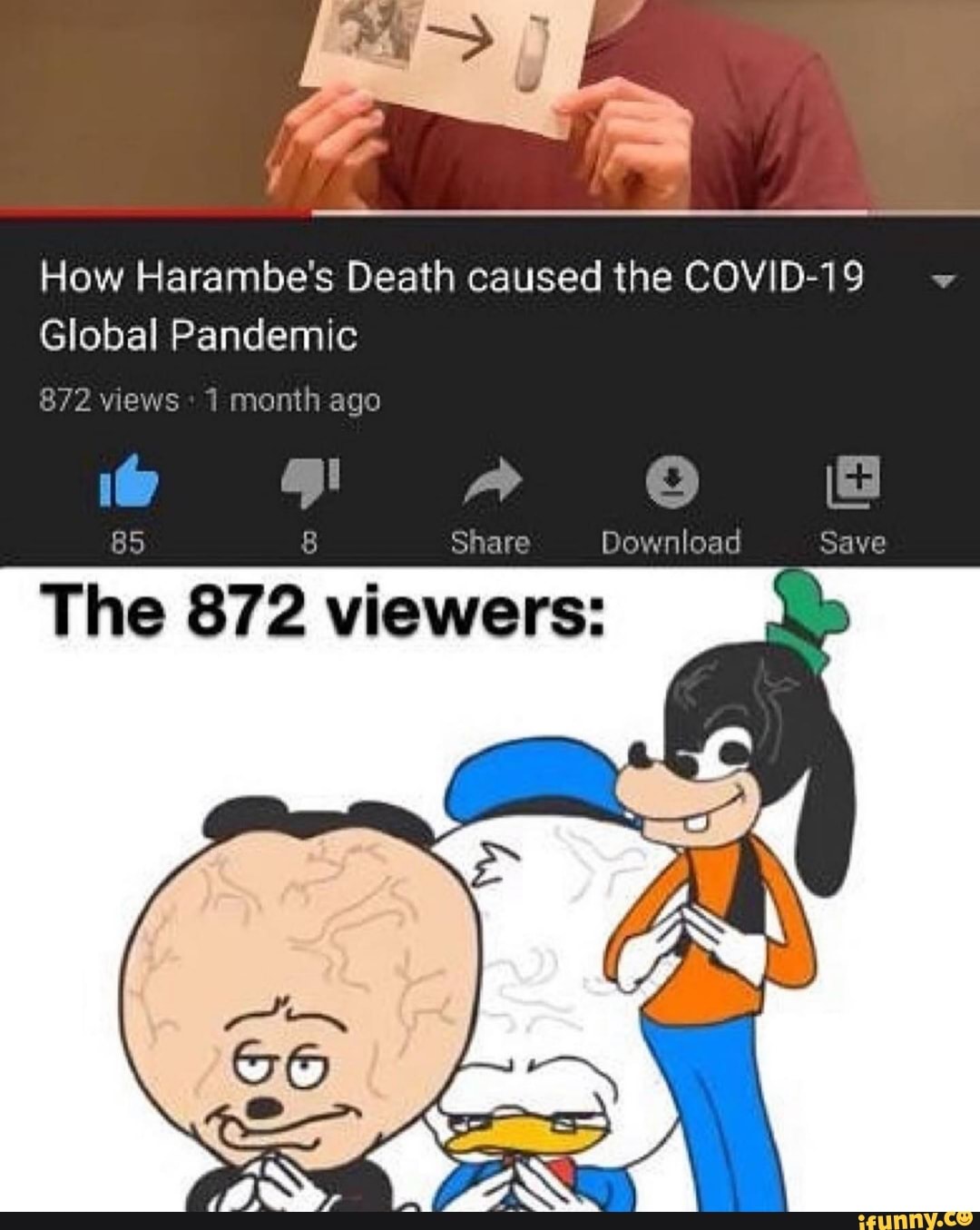 How Harambe's Death caused the COVID-19 Global Pandemic 183 Down load ...