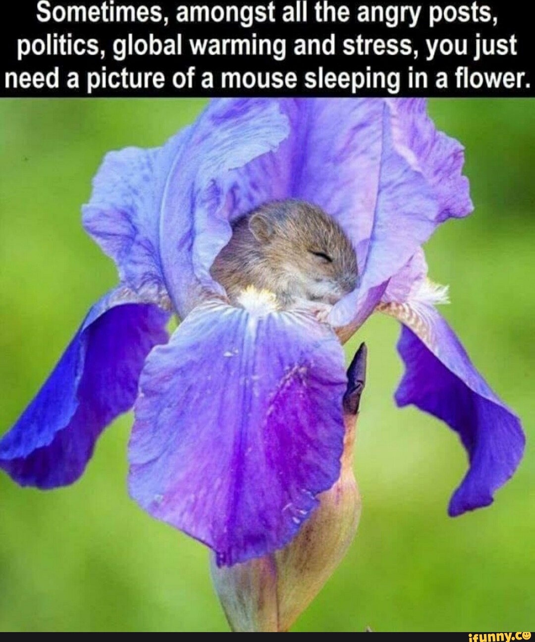 Sometimes, amongst all the angry posts, politics, global warming and ...