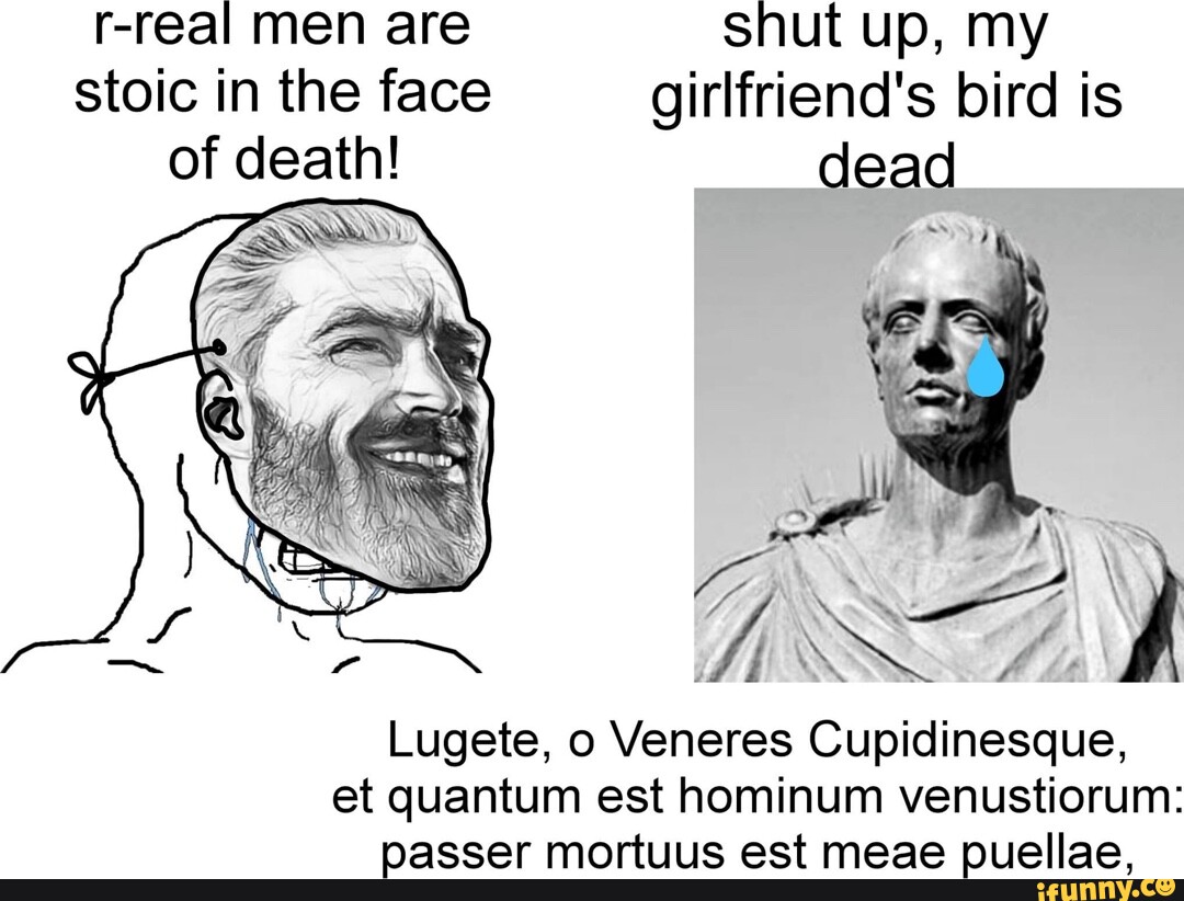 Passer memes. Best Collection of funny Passer pictures on iFunny