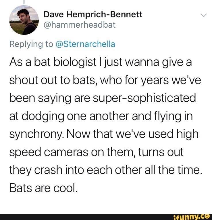 Synchrony memes. Best Collection of funny Synchrony pictures on iFunny