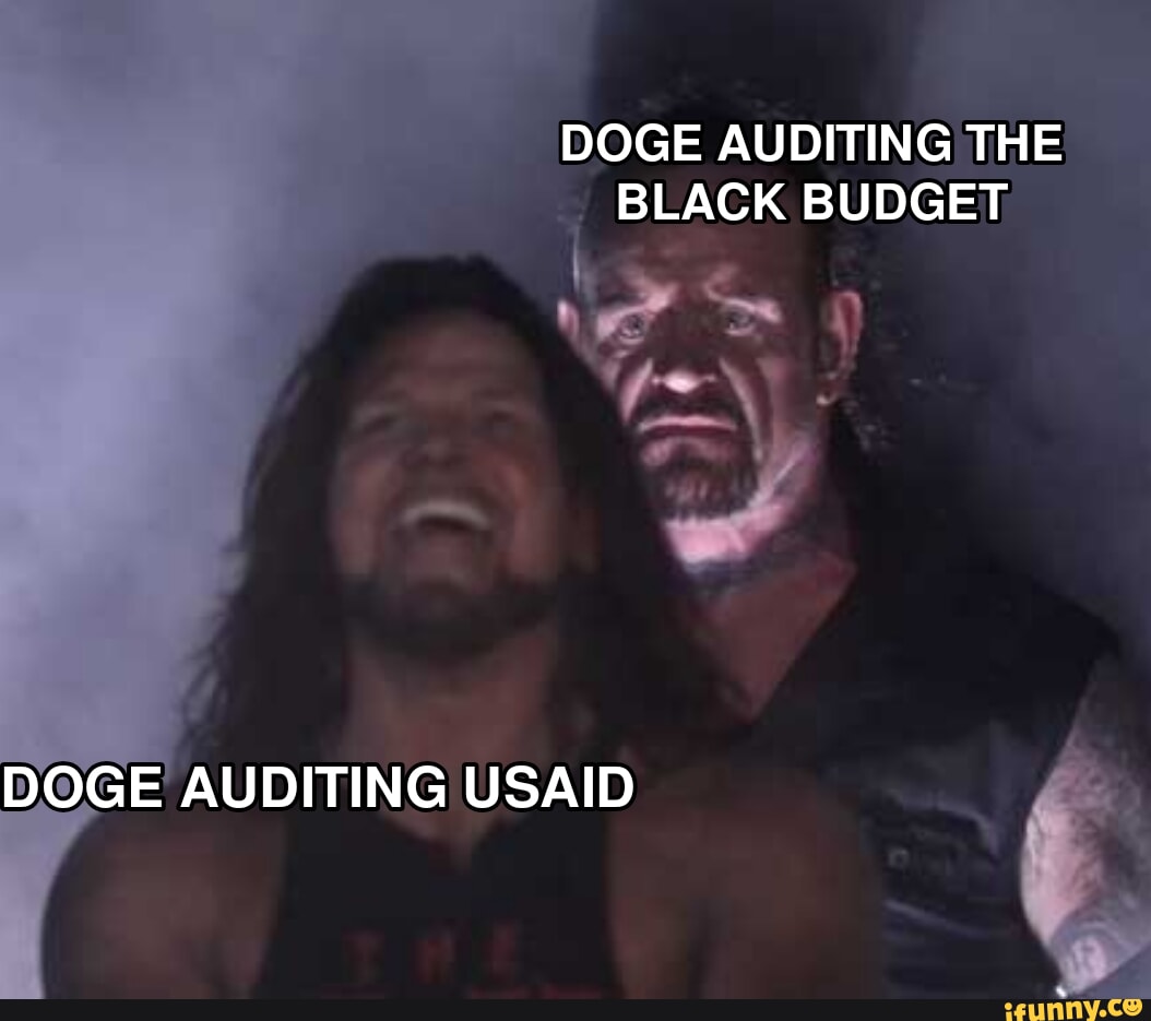 DOGE AUDITING THE BLACK BUDGET DOGE AUDITING USAID - iFunny