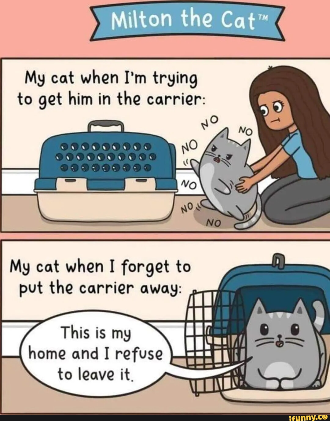 Milton the Cat" My cat when I'm trying to get him in the carrier: My ...