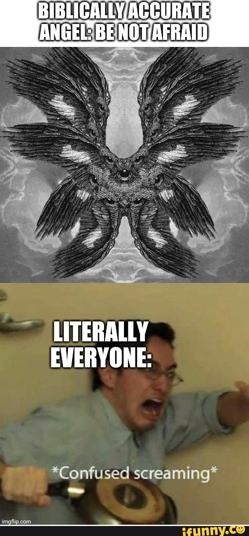 ANGEL LITERALLY EVERYONE: *Confused screaming* - iFunny