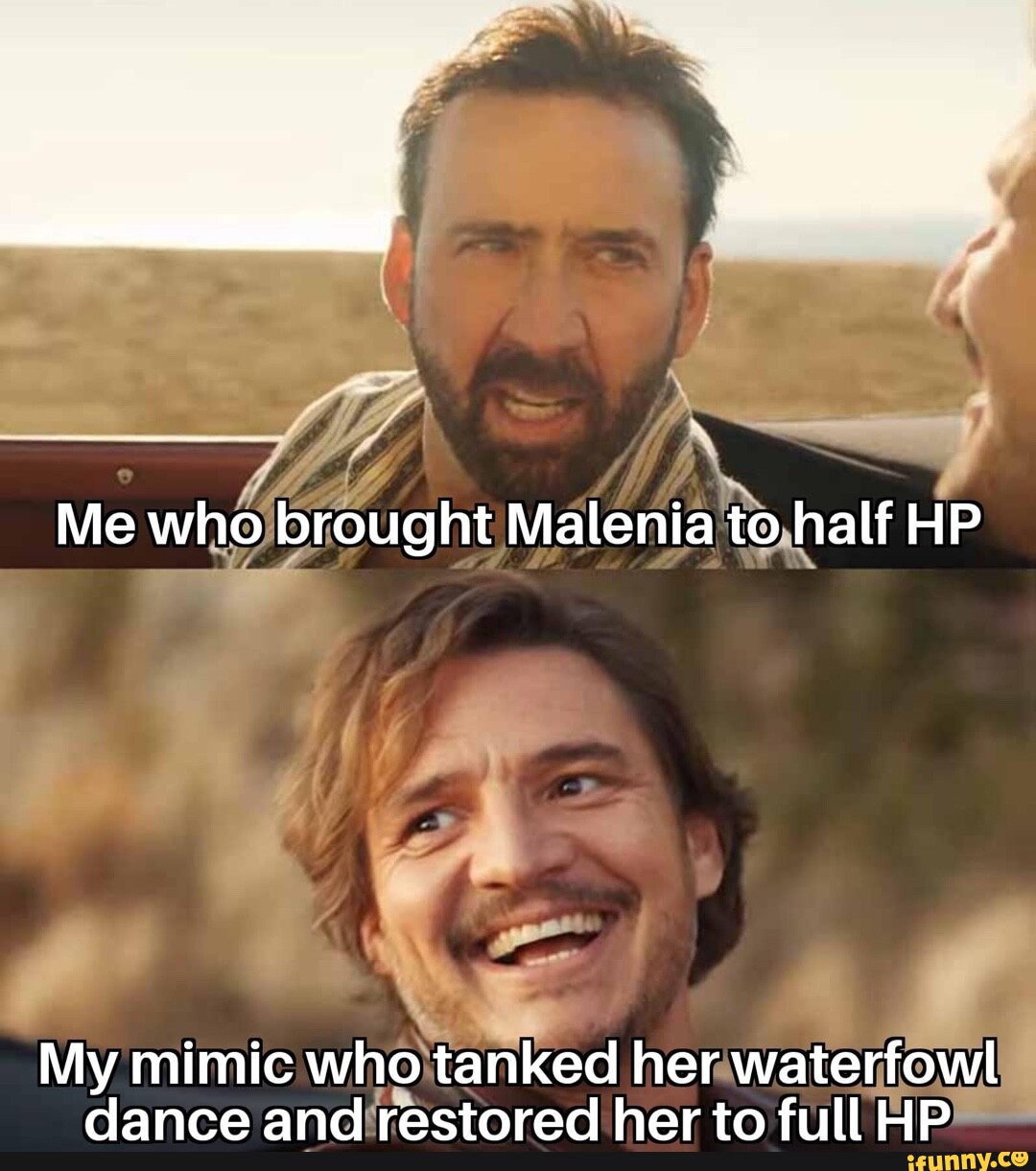 Me who brought Malenia to half HP My mimic who tanked her waterfowl ...