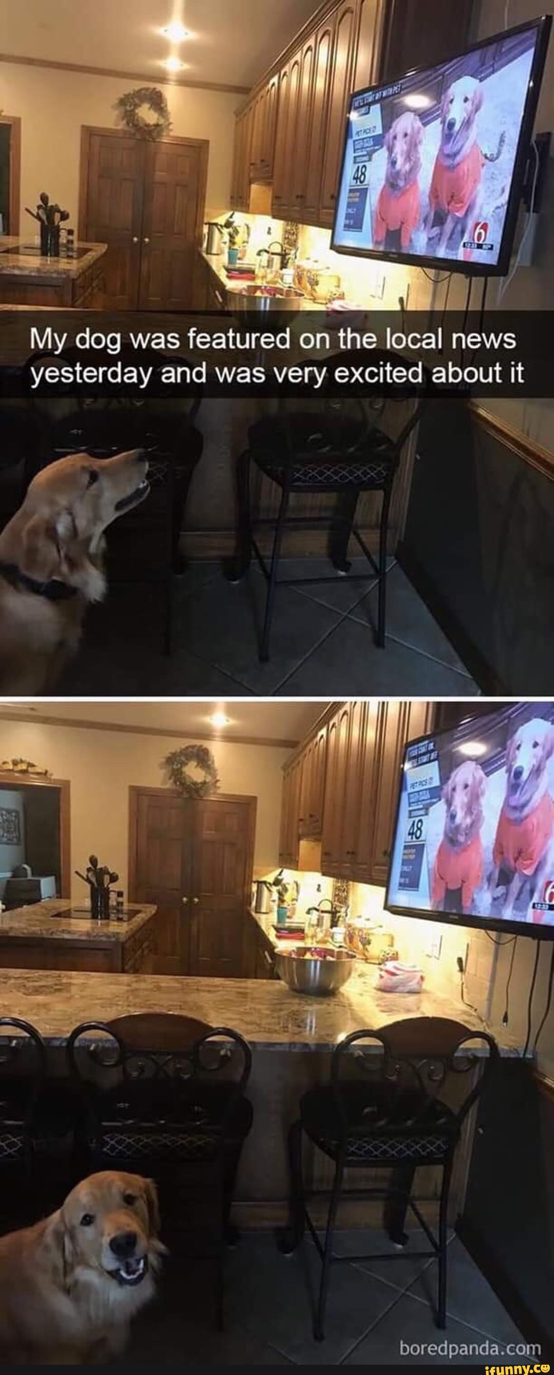 Why LOVE one but EAT the other? Ag Well first of all puppies are ...