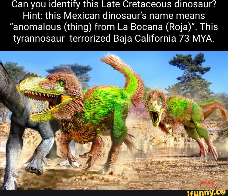 Anomalous memes. Best Collection of funny Anomalous pictures on iFunny