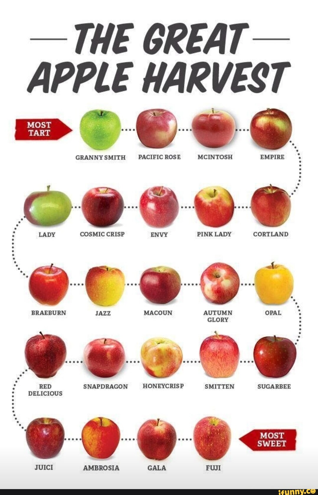 Opal memes. Best Collection of funny Opal pictures on iFunny