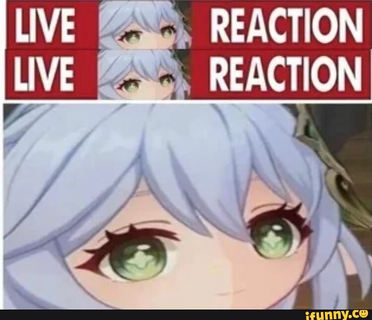 Nahida memes. Best Collection of funny Nahida pictures on iFunny