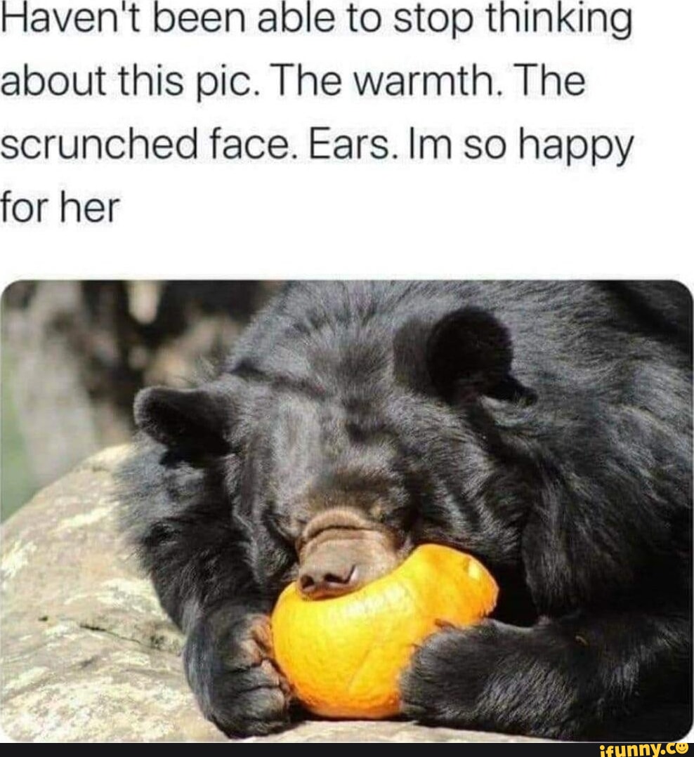 Scrunched memes. Best Collection of funny Scrunched pictures on iFunny