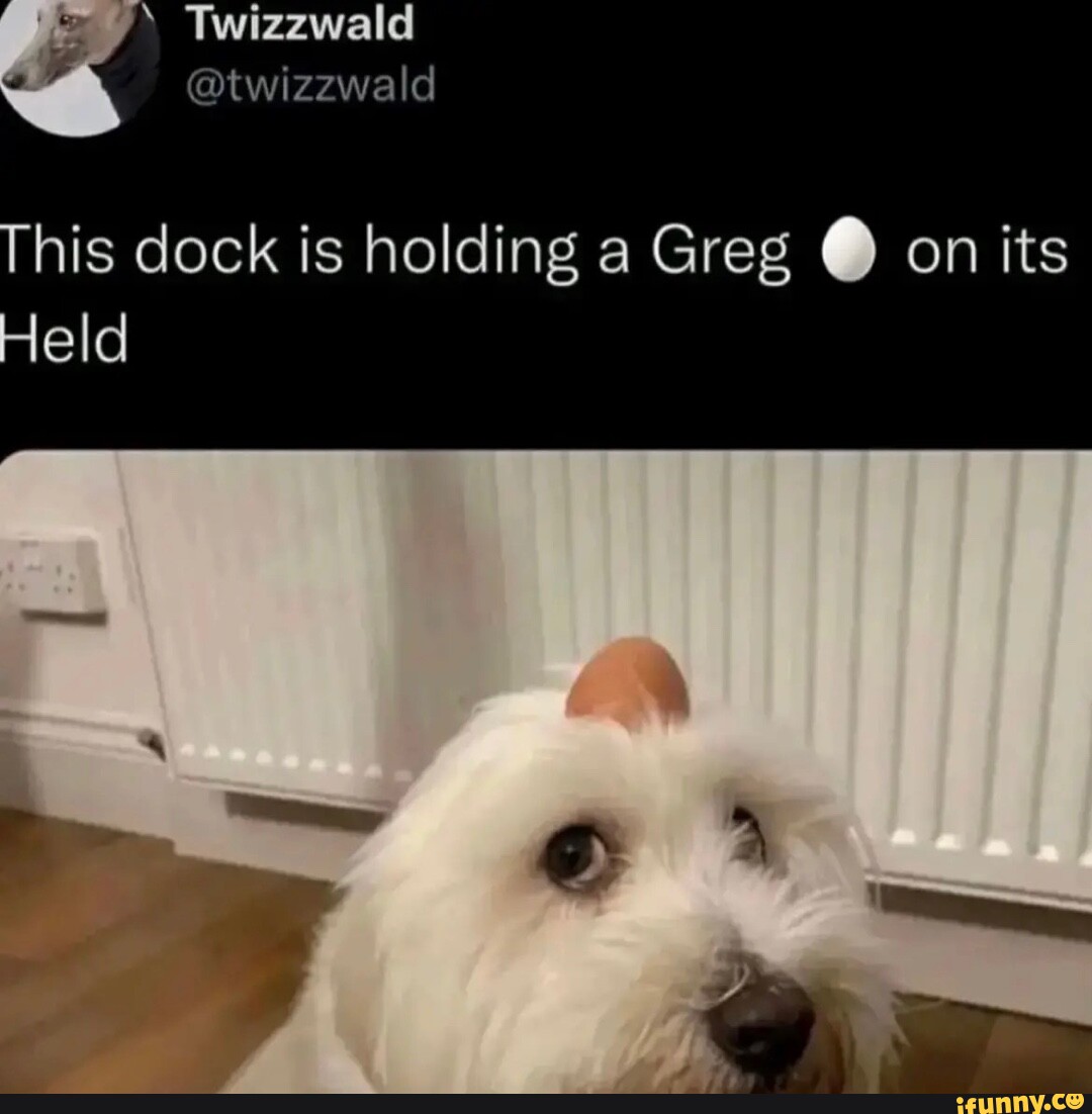 Twizzwald @twizzwald This dock is holding a Greg on its Held - iFunny
