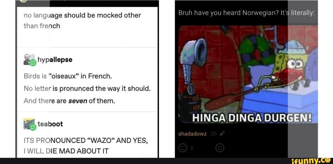 Dinga memes. Best Collection of funny Dinga pictures on iFunny