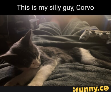 Corvo memes. Best Collection of funny Corvo pictures on iFunny